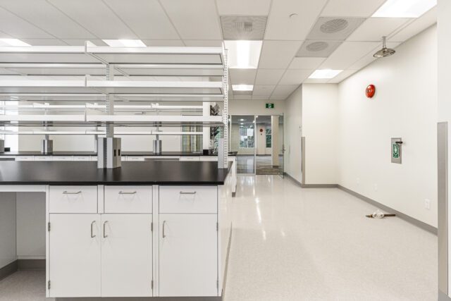 How much does the design and construction of a laboratory cost? | Lab.Space